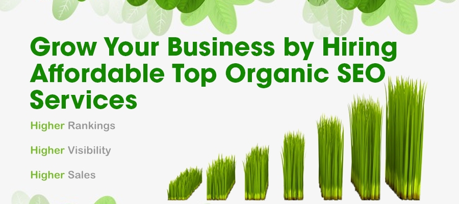 Organic SEO India | Best Organic SEO Service Provider